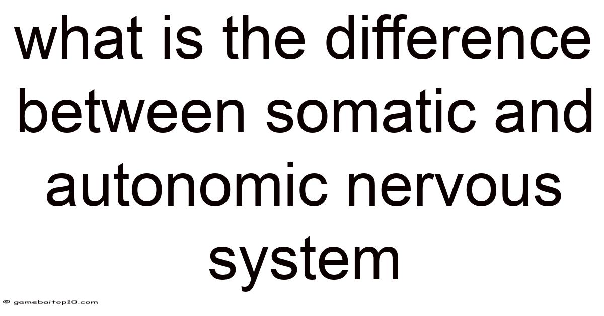 What Is The Difference Between Somatic And Autonomic Nervous System